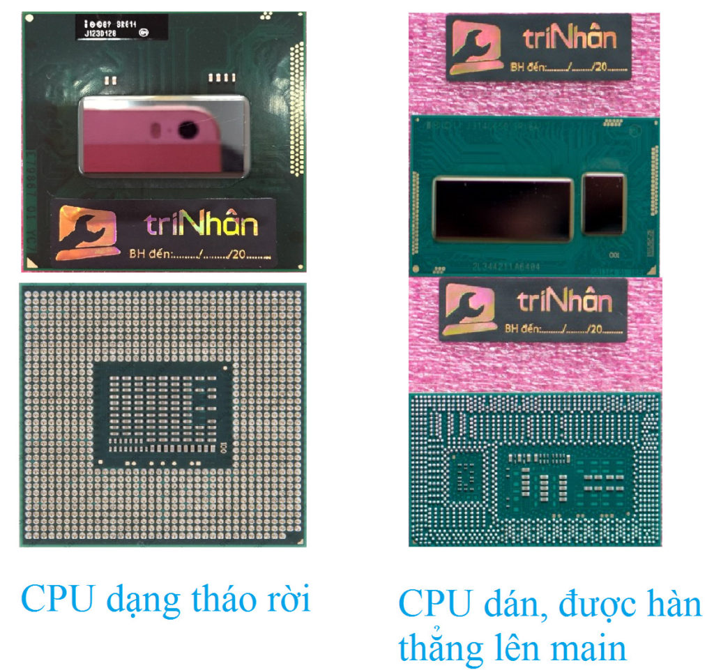 Thay thế cpu dán Laptop, Macbook - Trí Nhân - Sửa chữa Laptop & Macbook ...